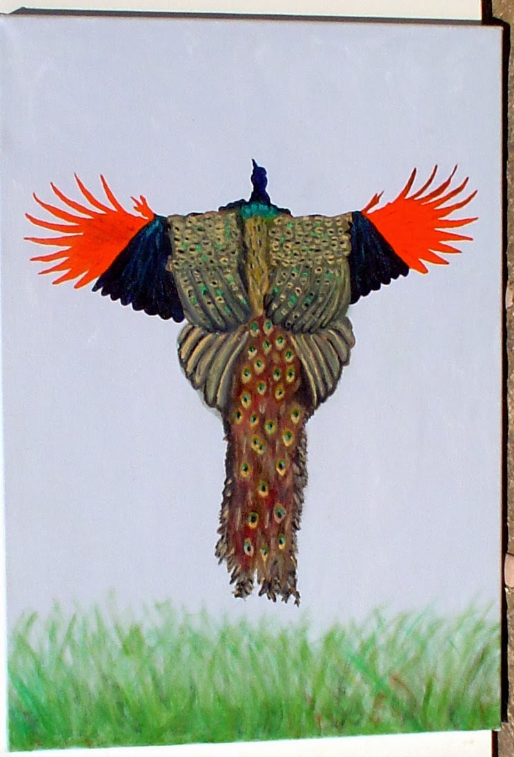 beautiful peacock: Flying Peacock