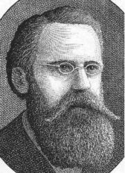 NATUROPATIA DIGITAL: La Organización Colegial Naturopática, trae a la ...