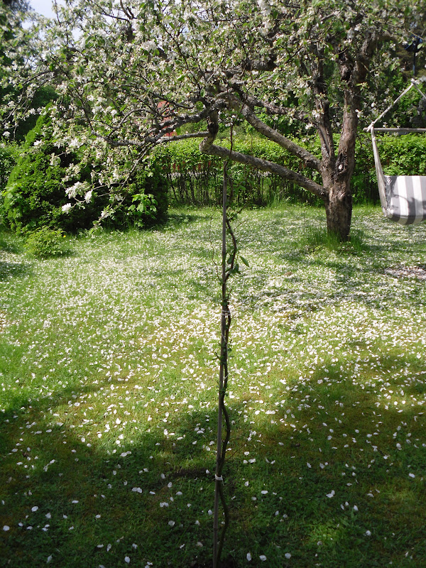 Garden of Sense: Bära eller brista