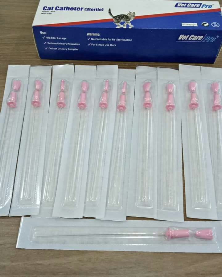 cat catheter atau kateter kucing untuk kolega dokter hewan