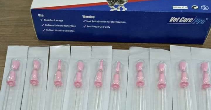 cat catheter atau kateter kucing untuk kolega dokter hewan