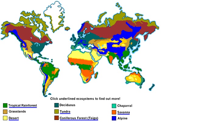 Teacher Monse´s Geography: Geographic Conditions that Favor ...