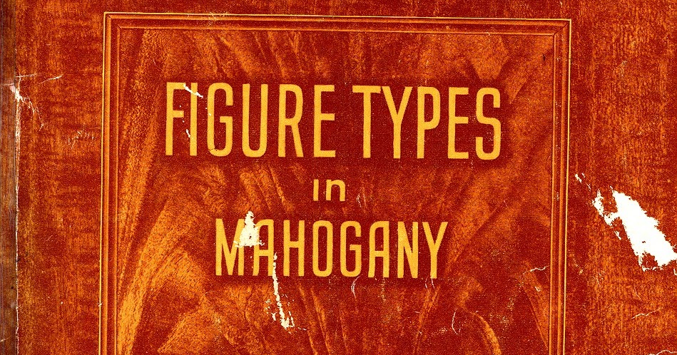 GOOD MORNING: Figure Types In Mahogany