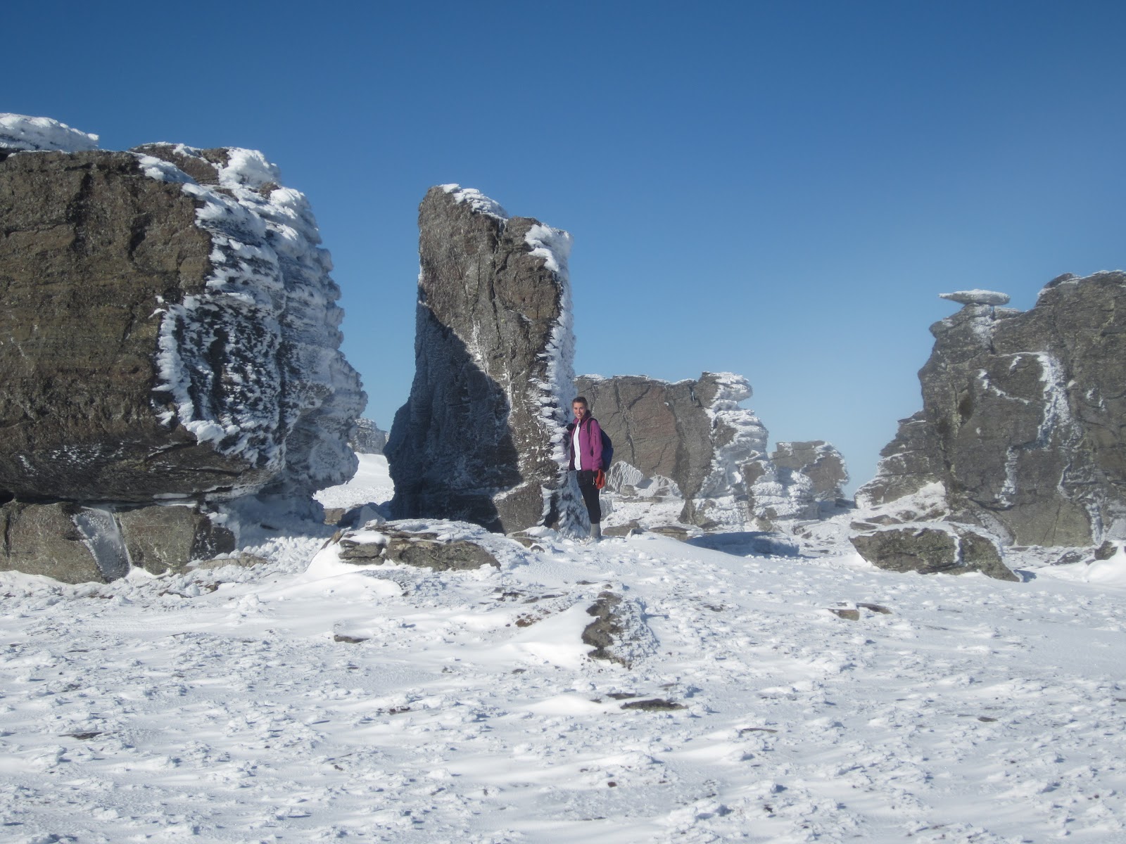 New Zealand Adventure 2012: Hiking in the Rock and Pillar Scenic Reserve