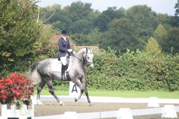 Roosa's Horsey Life: 30 Day Equestrian Challenge, Day #3