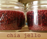 Wisdom of the Moon: Chia Jello