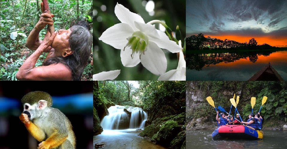 ECUADOR IS A MAGICAL DESTINATION: THE AMAZING AMAZON REGION