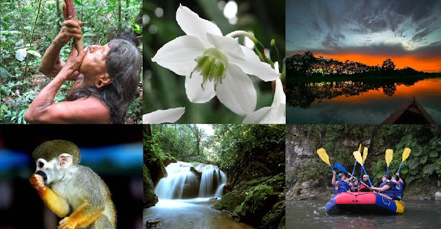 TOUR TURISTICO EN LA AMAZONÍA
