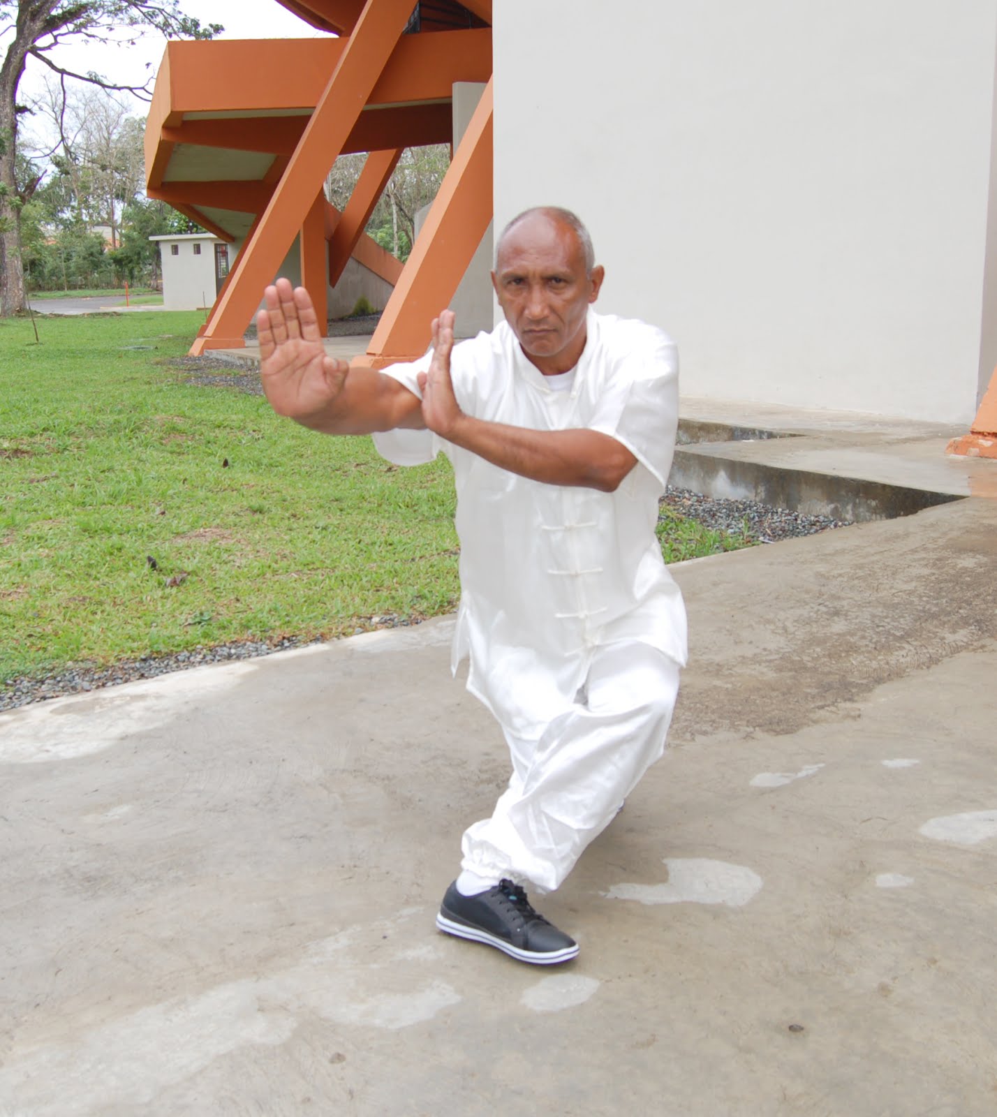 Escuela de Kung Fu: Ying Chao Pai (Garras de Águila): 2013