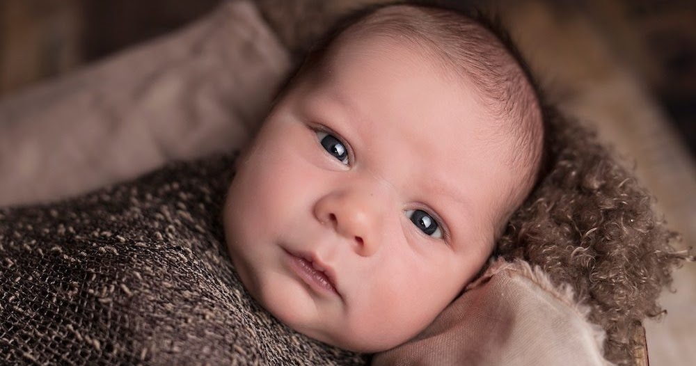 How A Child s Brain Develops From The Womb To Age Five By Elaine Hunter how-a-child-s-brain-develops-from-the-womb-to-age-five-by-elaine-hunter