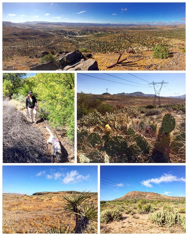 AdventureGraham: Hike #36 Jacumba Peak