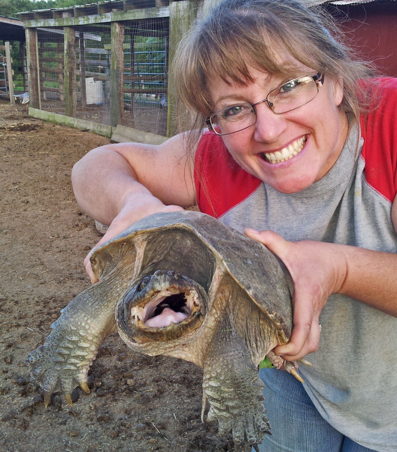 Mustang Dreams....: My pet snapping turtle....