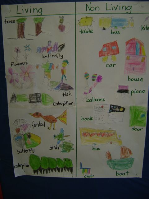 Room 1 Sunnybrae Normal School: Using a T chart