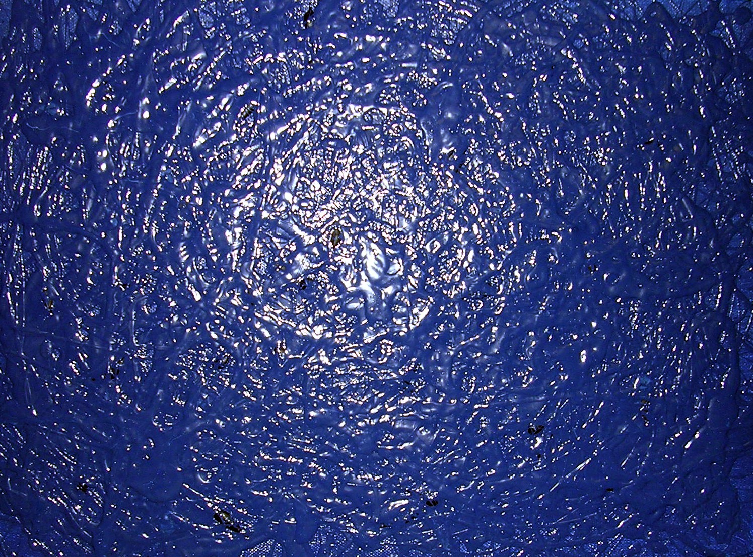 IL GUARDIANO DEL FARO: FOTOGRAFICO - Blu 1