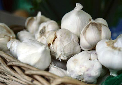 The Low Carb Diabetic: April is National Garlic Month