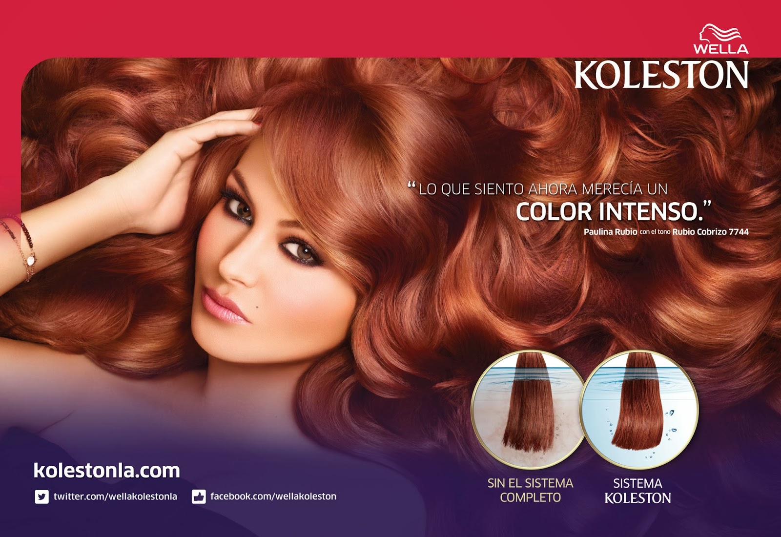 EL PLACER DE LA BELLEZA: 1/11/13 - 1/12/13