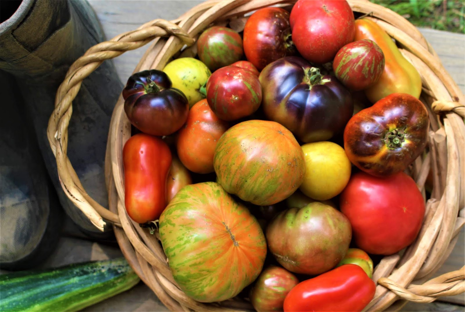 Our Little Homestead