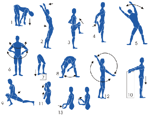 Utilidades Escolares: Educação Física Básica - Aquecimento