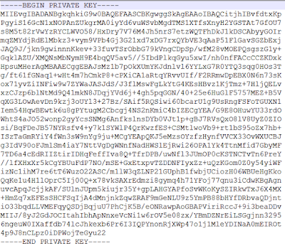 Tech Experiment: Create and read PKCS #8 format private key in java ...