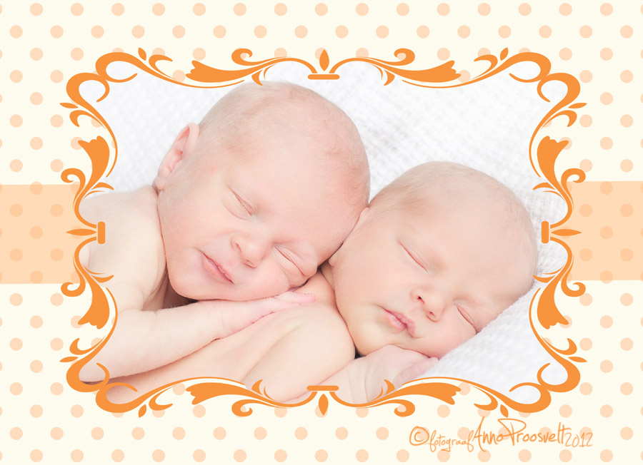Vastsündinud kaksikud fotostuudios pildistamas - Fotostuudio Fotopesa
