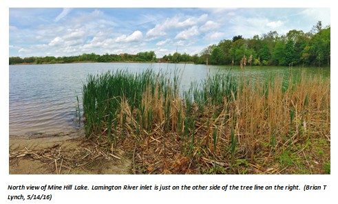 Data-Driven Viewpoints: Mine Hill, Headwaters of the Lamington River