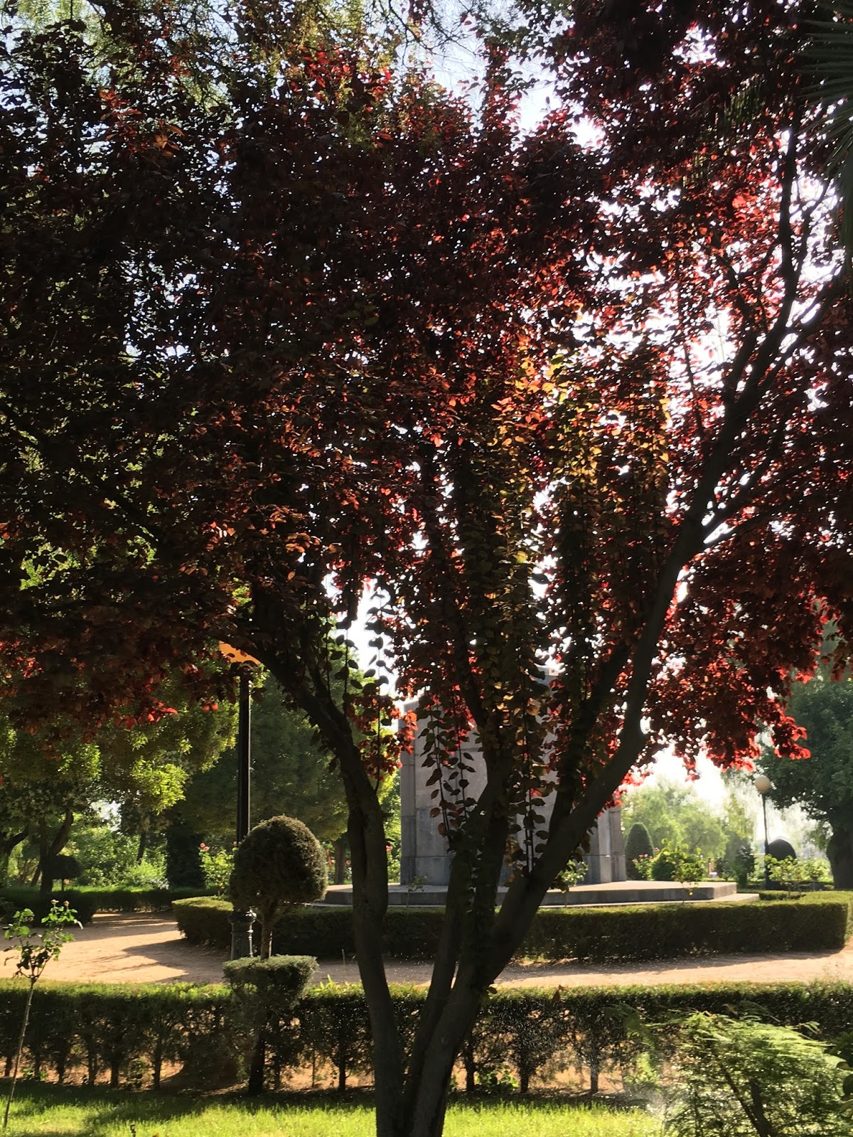 PARQUE MUNICIPAL DE MONTIJO: 11. VIVENCIAS EN EL PARQUE. VÍDEOS Y AUDIOS.