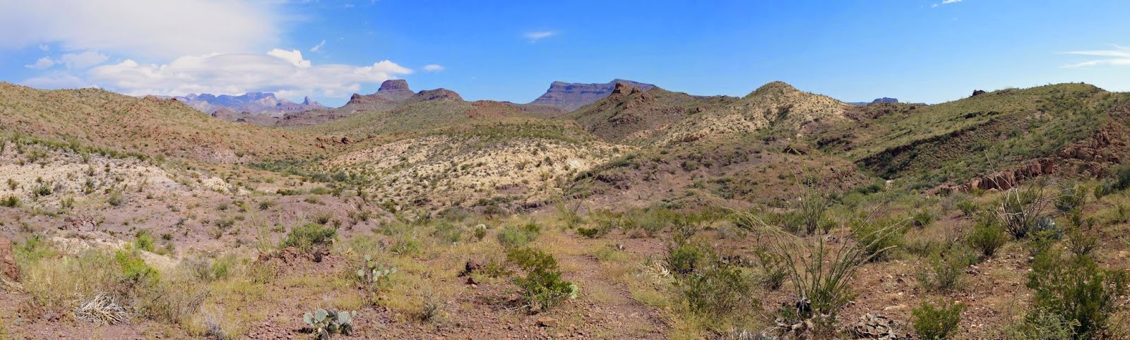 Mule Ears Spring Trail, Big Bend National Park