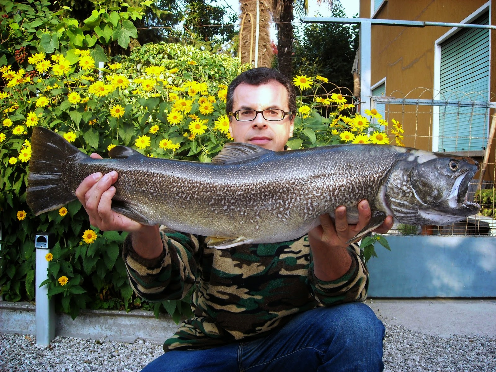 PescaePesca: Spinning alla trota marmorata