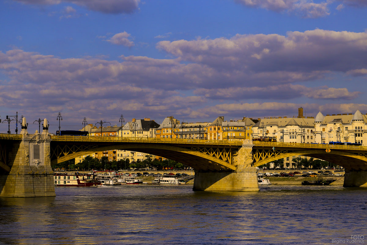 Budapest - City Daily Photo: Margit Bridge