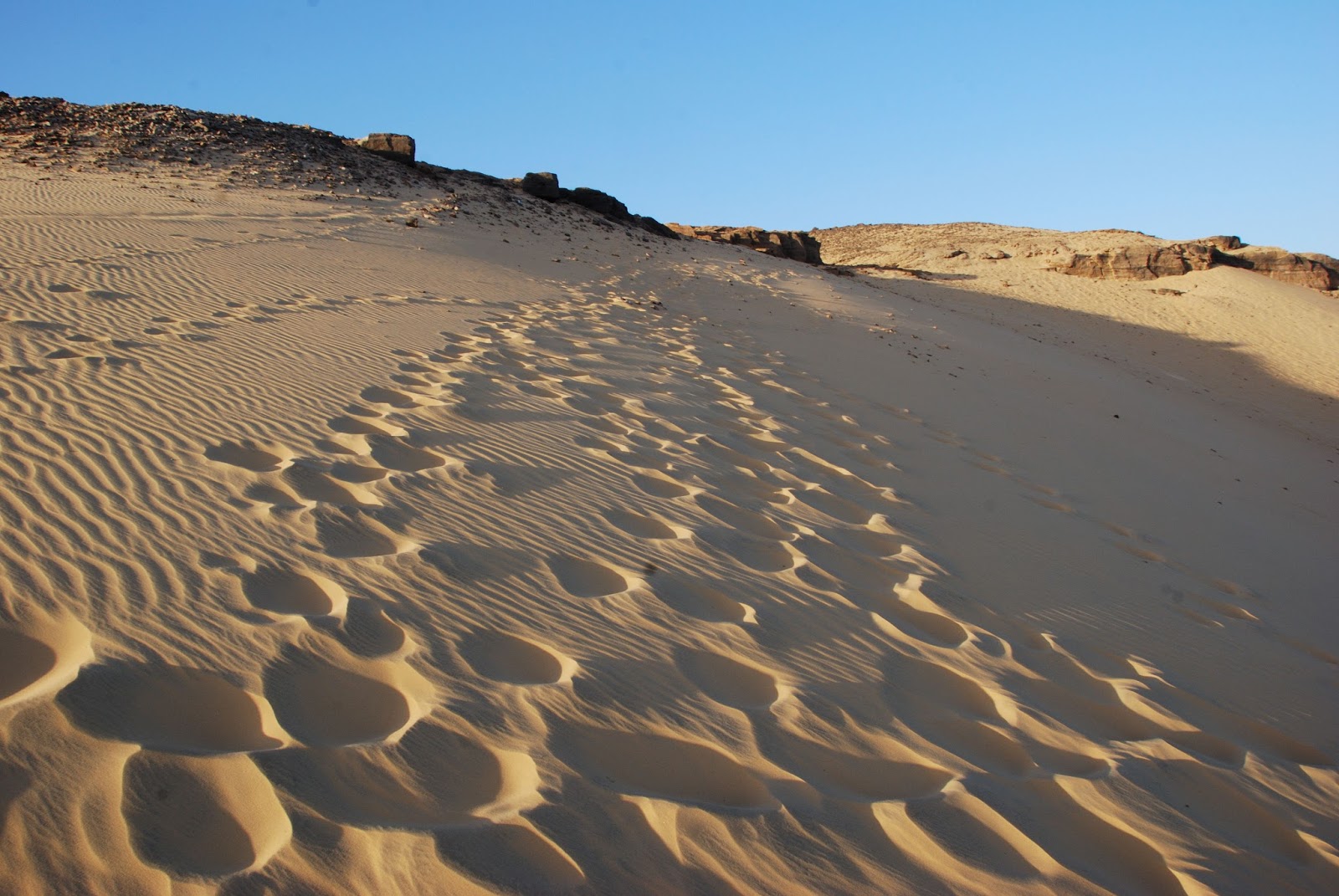 The Egyptians You See Today