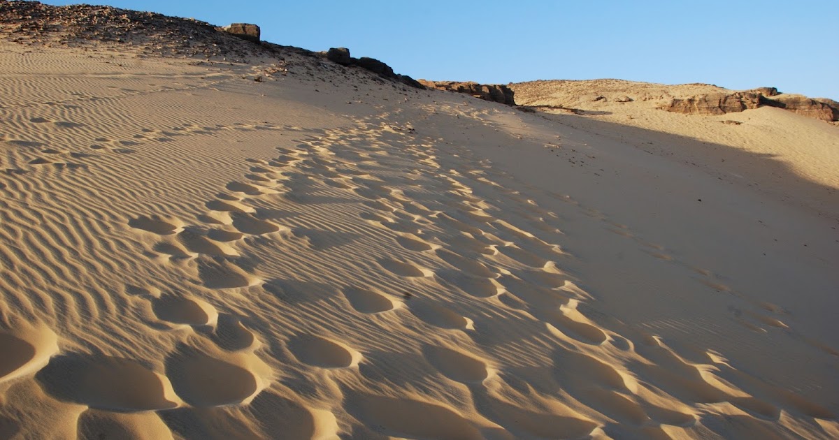 The Egyptians You See Today