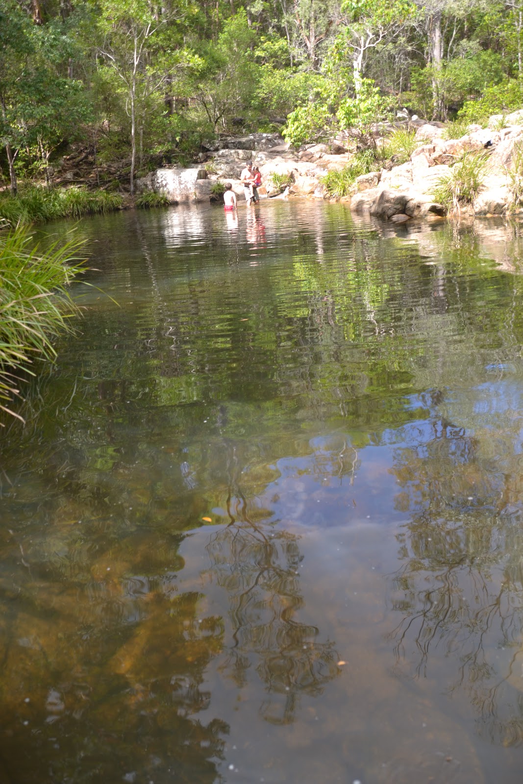 Life & Times: Mothar Mountain Rock Pools at Woondum National Park