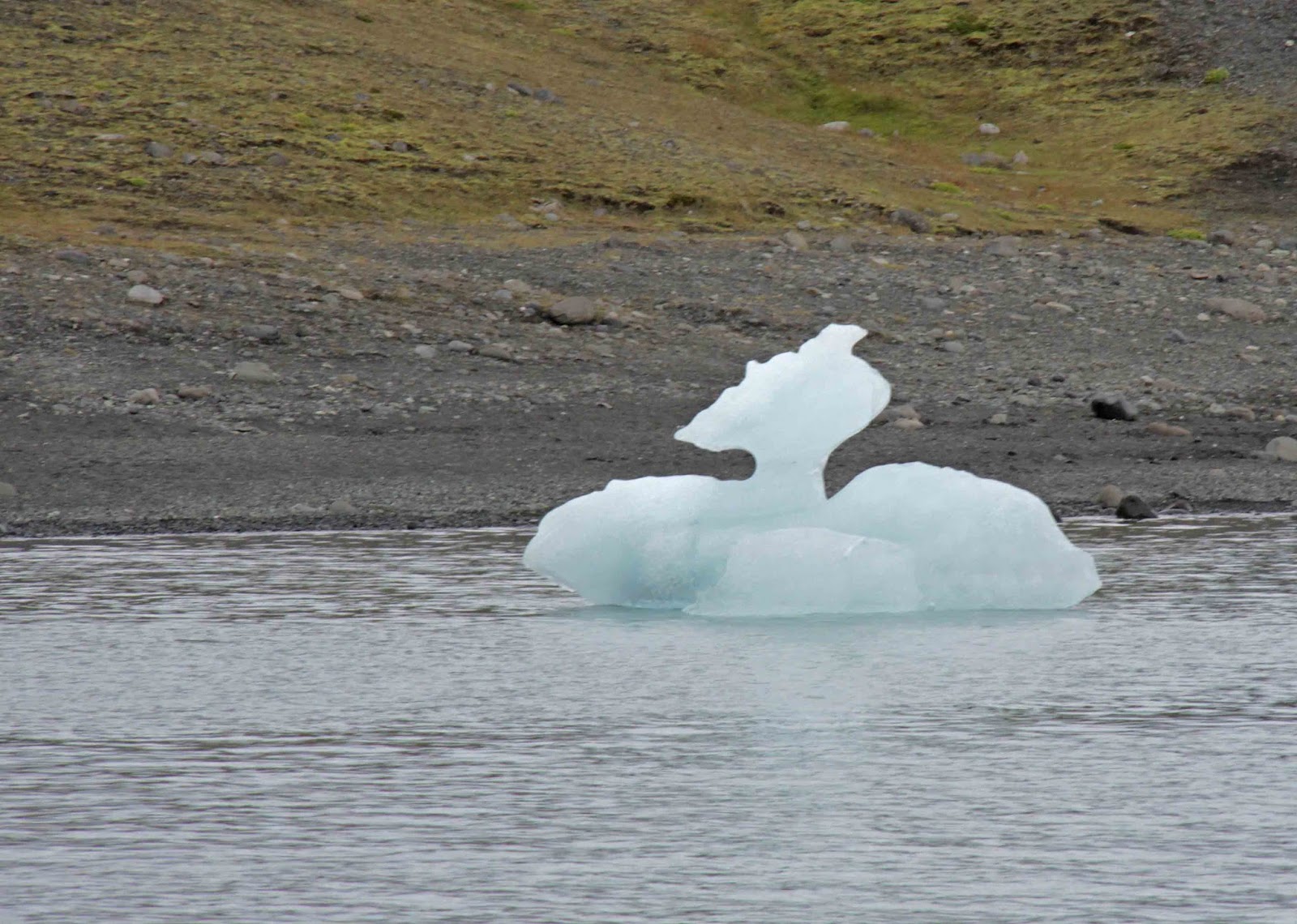 Dommelvos Natuurfotografie: IJsland: gletsjerwandeling en ijsmeer