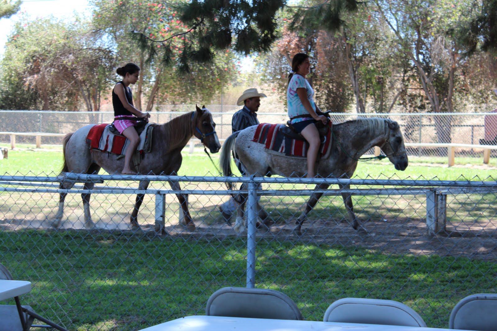 Montebello Barnyard Zoo: Pony Rides - Los Angeles