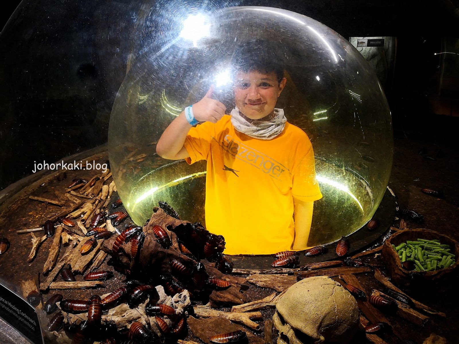 Entopia by Penang Butterfly Farm in Teluk Bahang Penang |Tony Johor ...