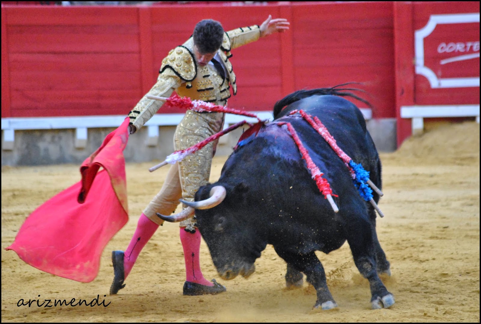 Lascosasdeltoro: El Toreo sí es cultura.