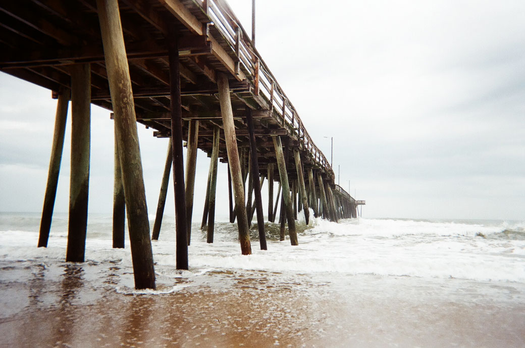 Shannon Bray Photography