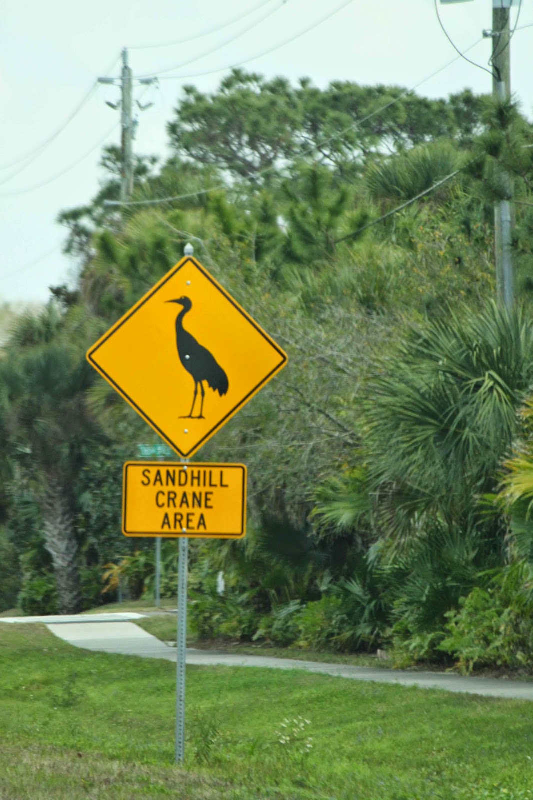 The Backyard Birder: Give birds a brake: bird crossing signs from ...