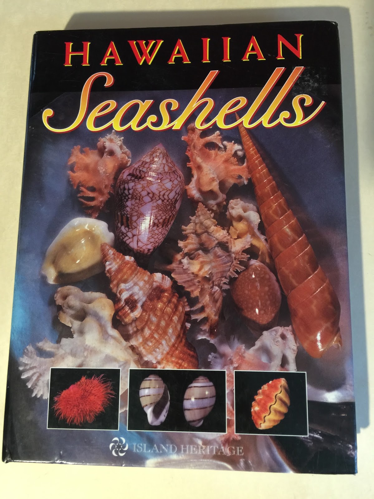 She Sells Seashells: February 2016