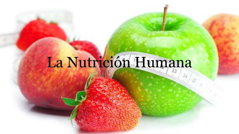 UNE NUTRICIÓN HUMANA: DEFINICIONES DE NUTRICIÓN, NUTRICIÓN HUMANA Y ... UNE NUTRICIÓN HUMANA: DEFINICIONES DE NUTRICIÓN, NUTRICIÓN HUMANA Y ...