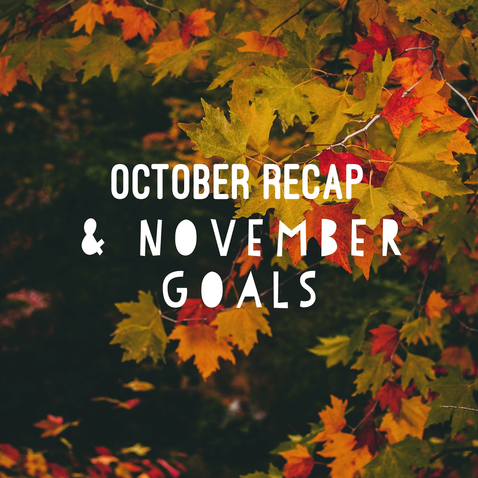 October Recap & November Goals - afloat on a full sea