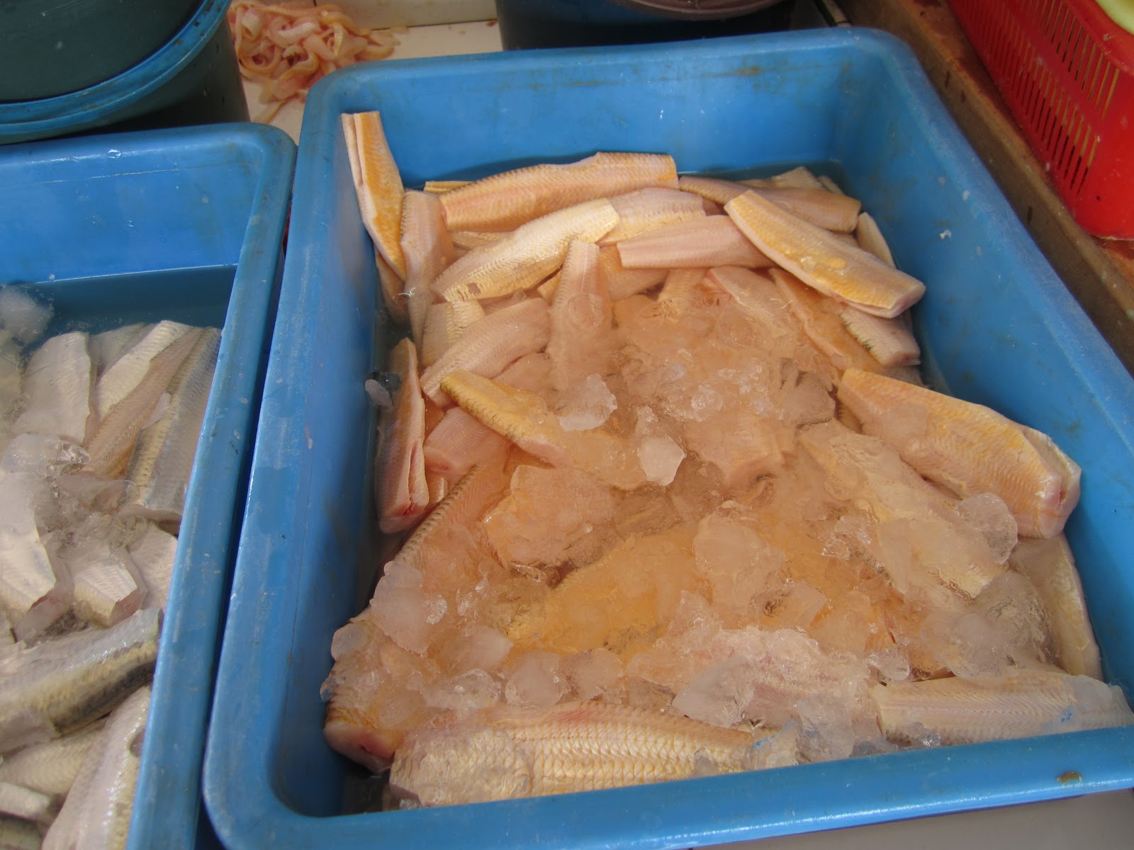 Sembang Hari-Hari: Feb 15, 2011