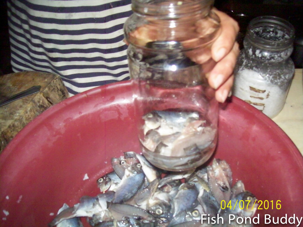 Fish Pond Buddy: How to Make Fermented Rice-Fish Mix ("Buro") at the ...