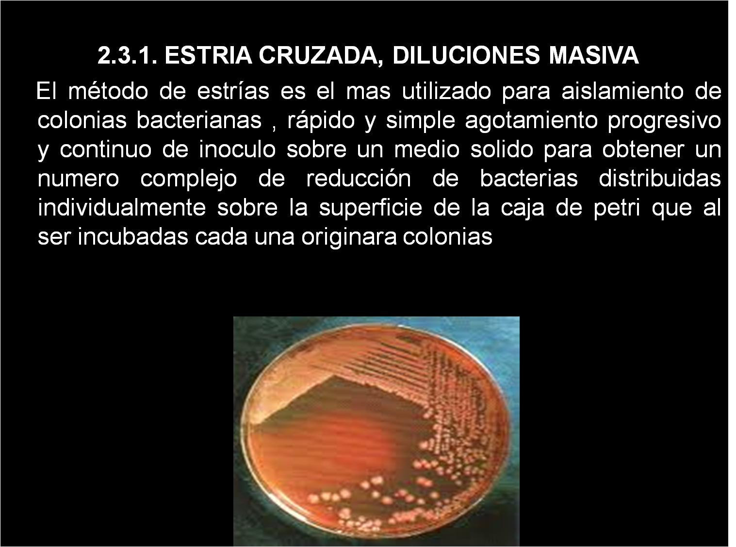 microbiologia: ESTRIA CRUZADA, DILUCIONES Y MASIVA