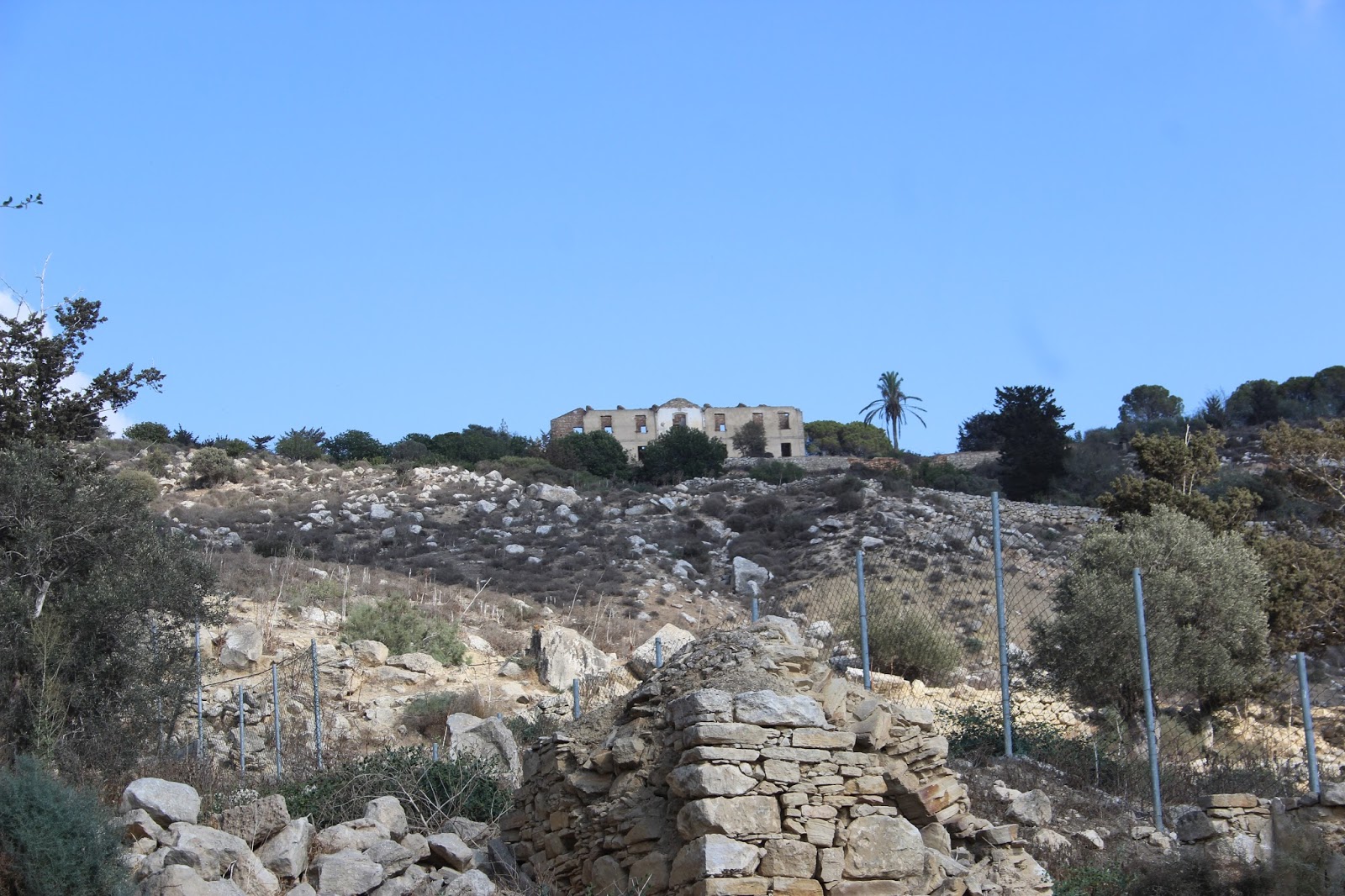 Biodiversity of Cyprus by NGO Protection of the Natural Heritage and ...