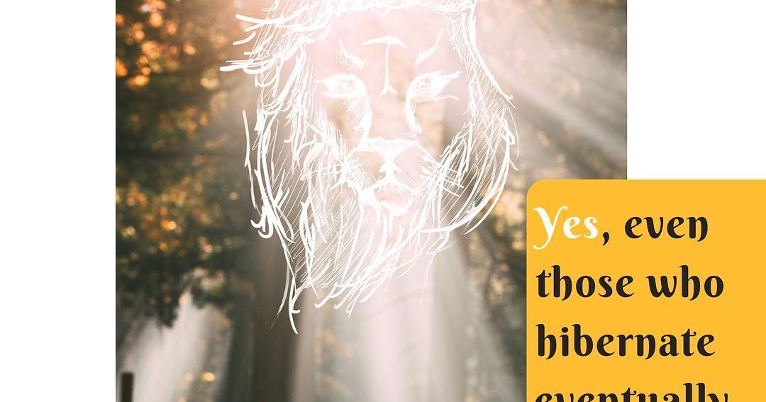 David Michael Lippman