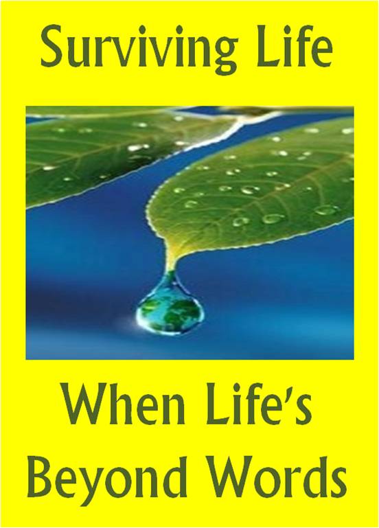 Surviving Life When Life's Beyond Words