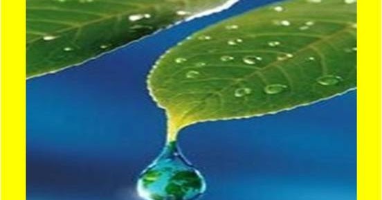 Surviving Life When Life's Beyond Words