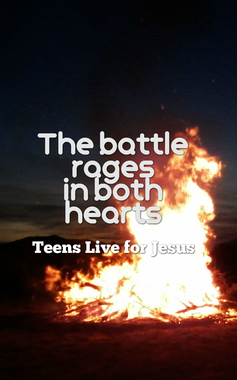 Teens live for Jesus: The Fight by Luke Wordley