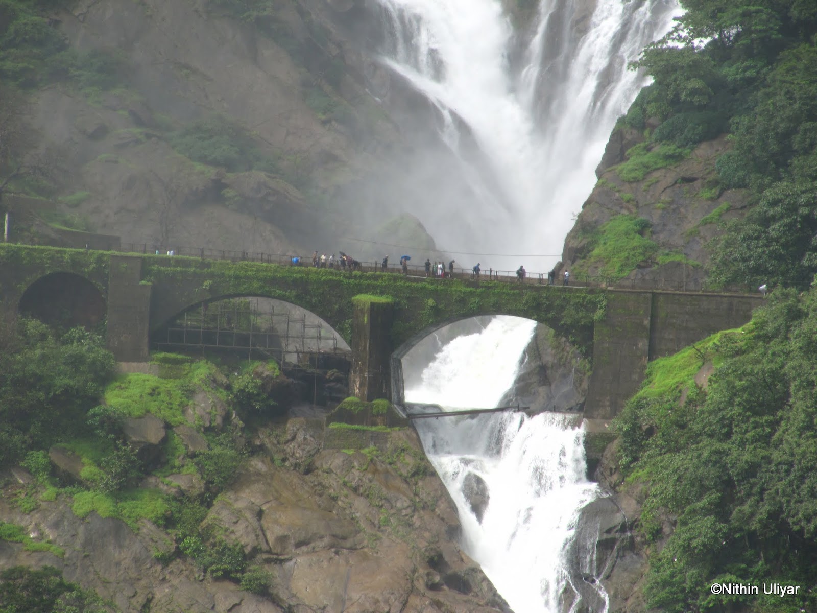 My "Earthly" Experiences: Dudhsagar TreK, With Goa Under Monsoon ...